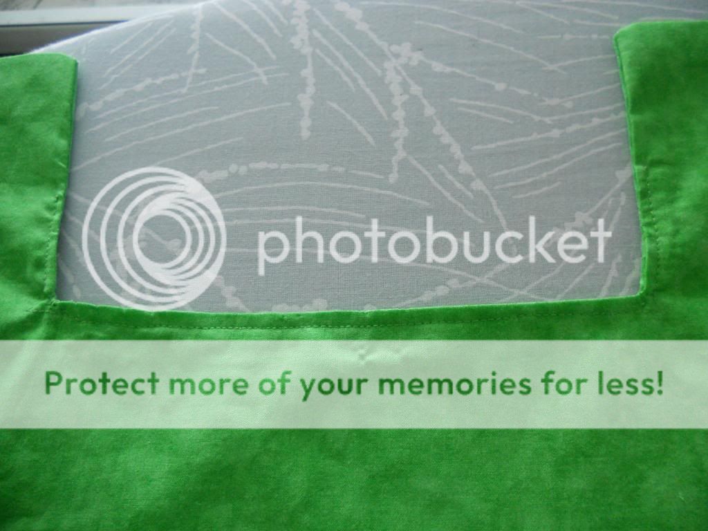 Petco Rat Manor Cage Liner Questions | Rat Forum